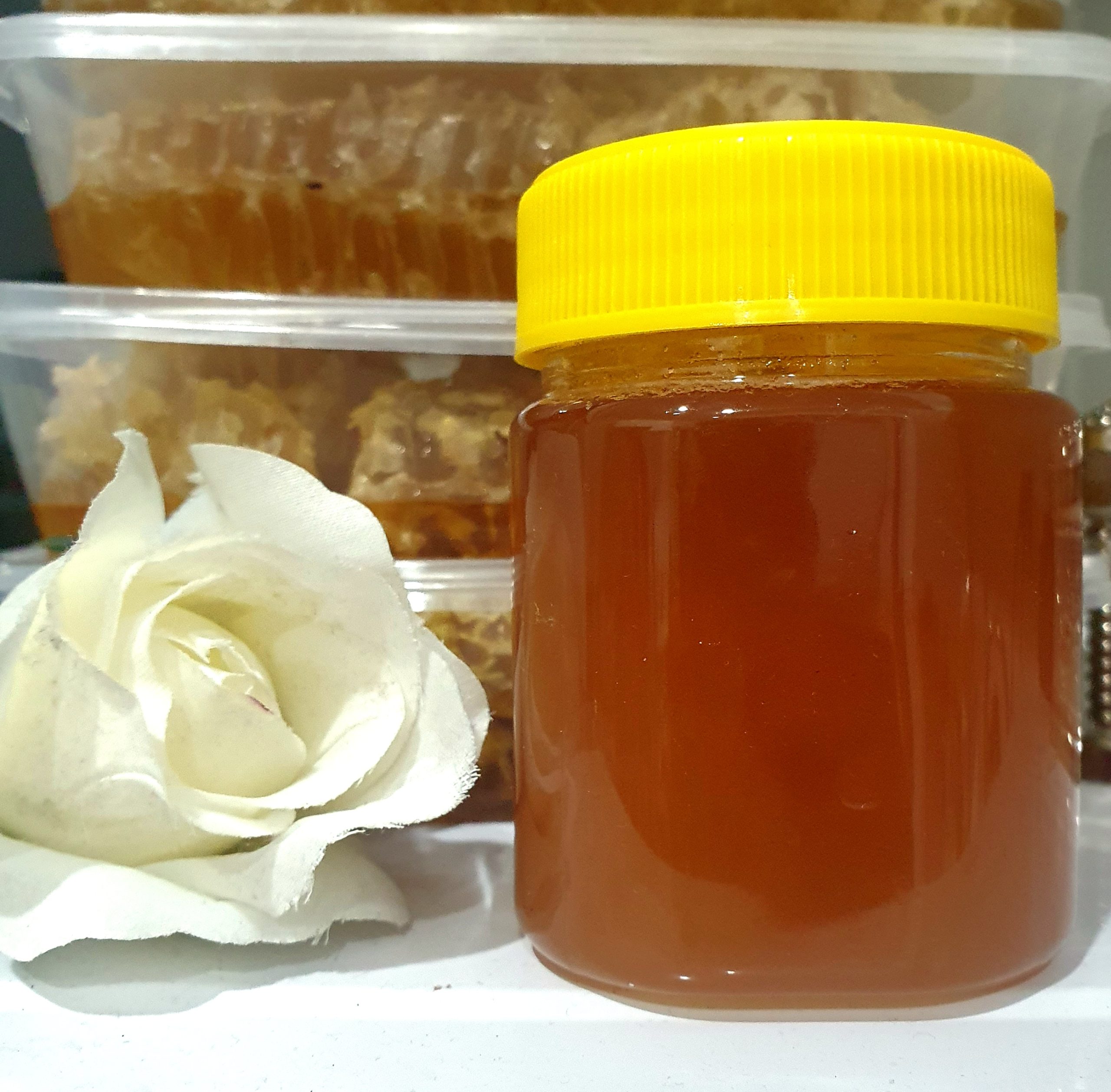 Raw Honey from Melbourne Suburbs – The Blessed Honey Bee Pure Raw and ...